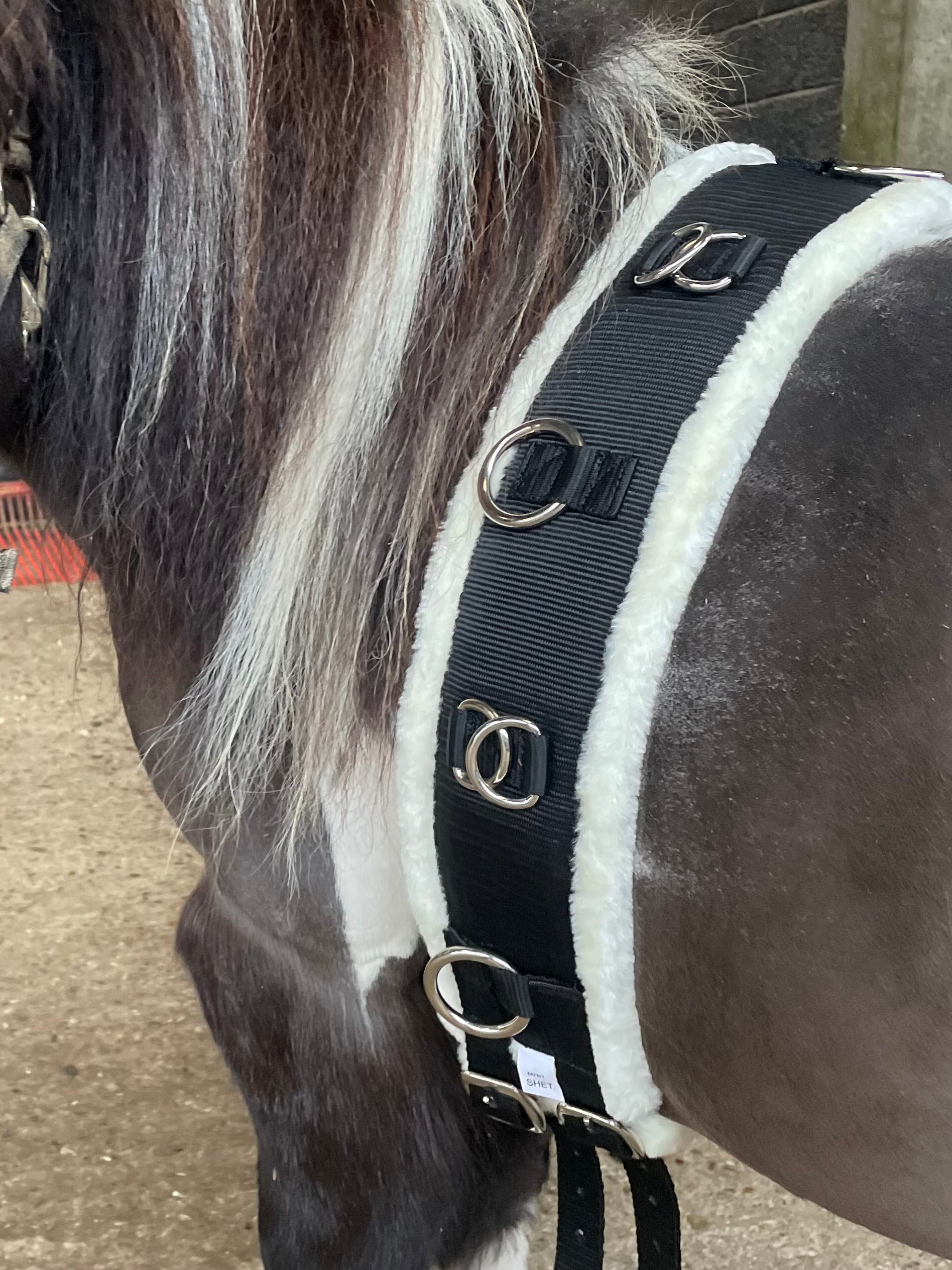 Lunging/Long reining Roller | Kids2ponies