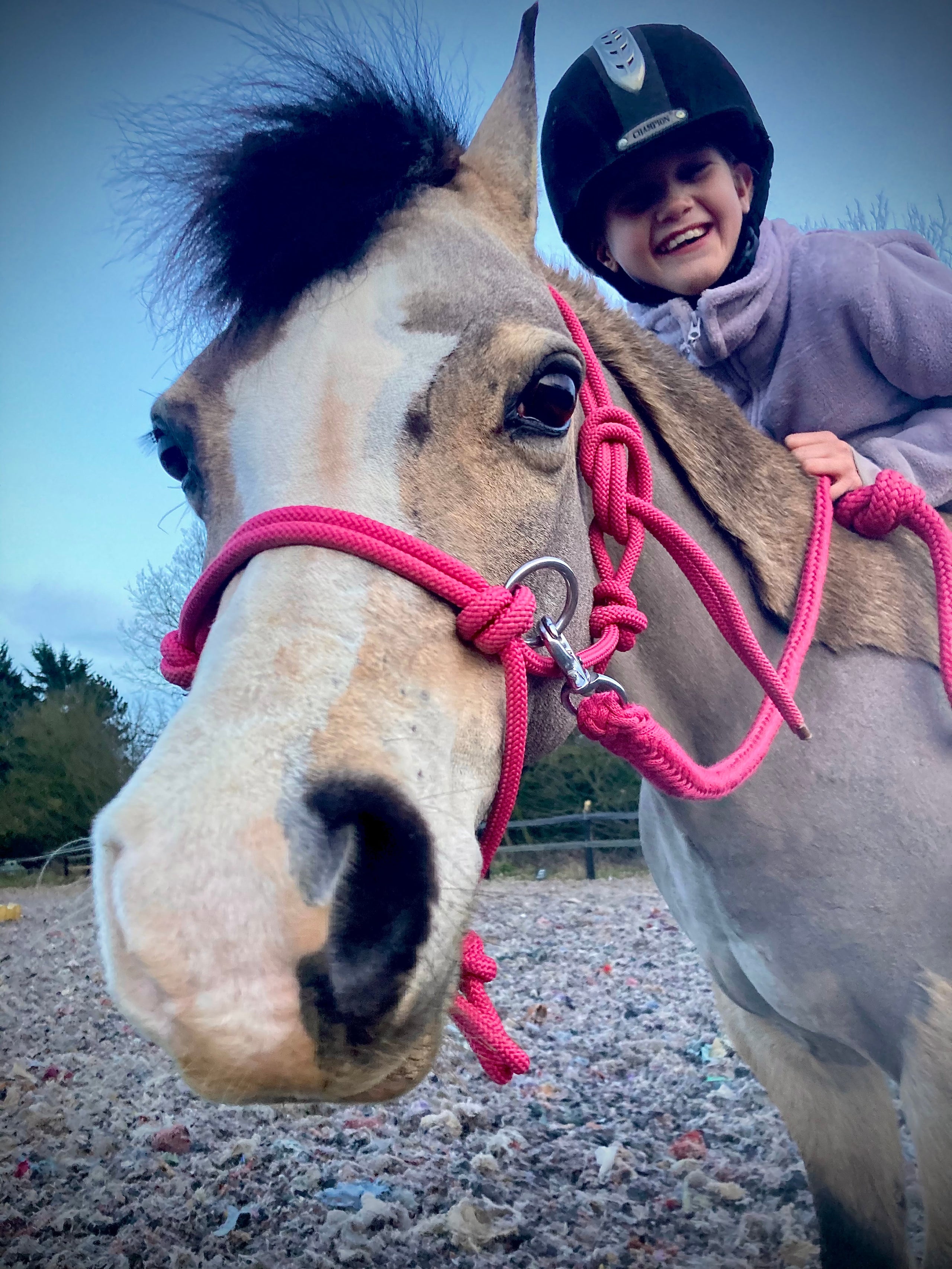 Rope halter with reins | Kids2ponies